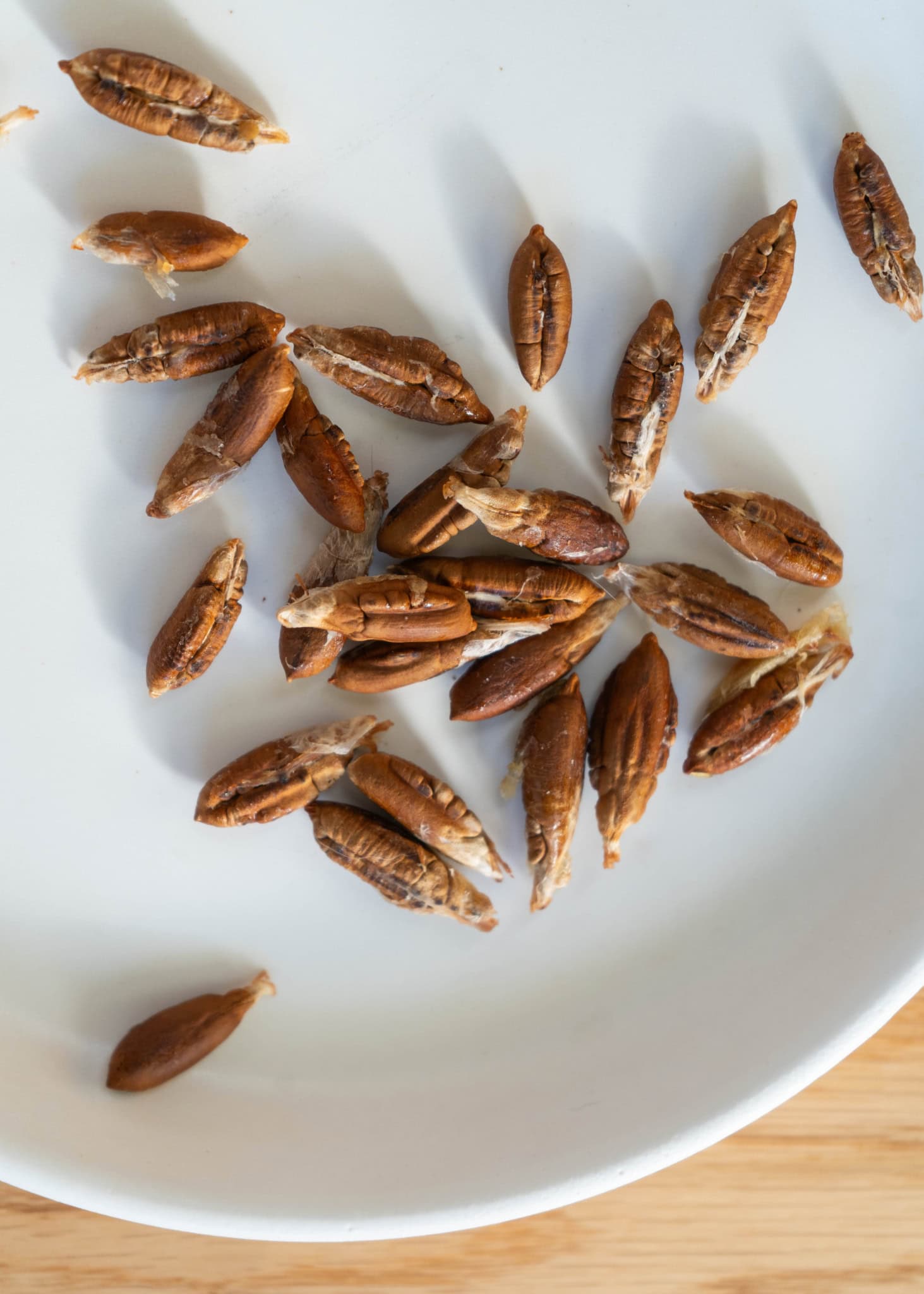 Caffeine-free date seed “coffee” | Closed Loop Cooking