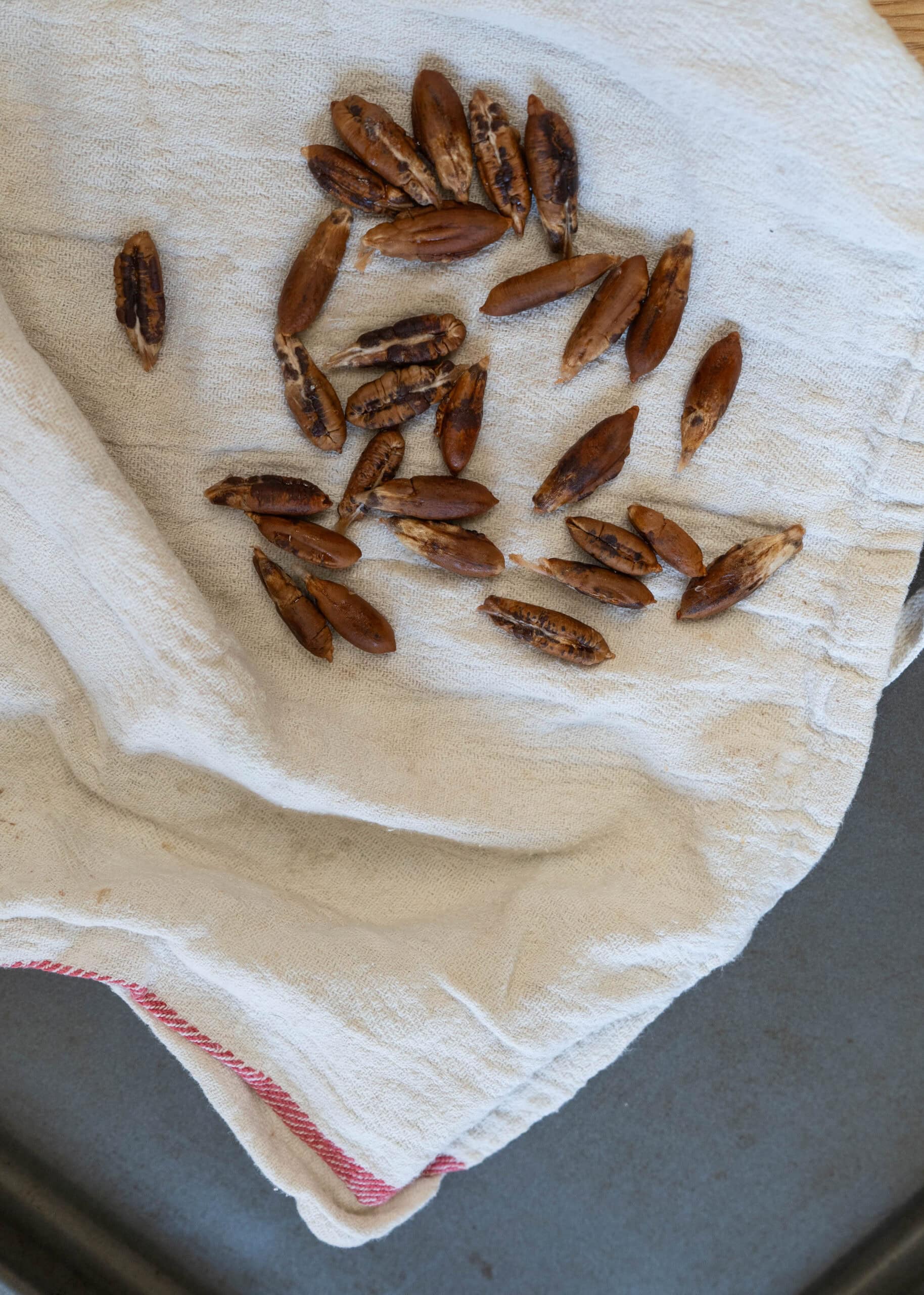 Caffeine-free date seed “coffee” | Closed Loop Cooking