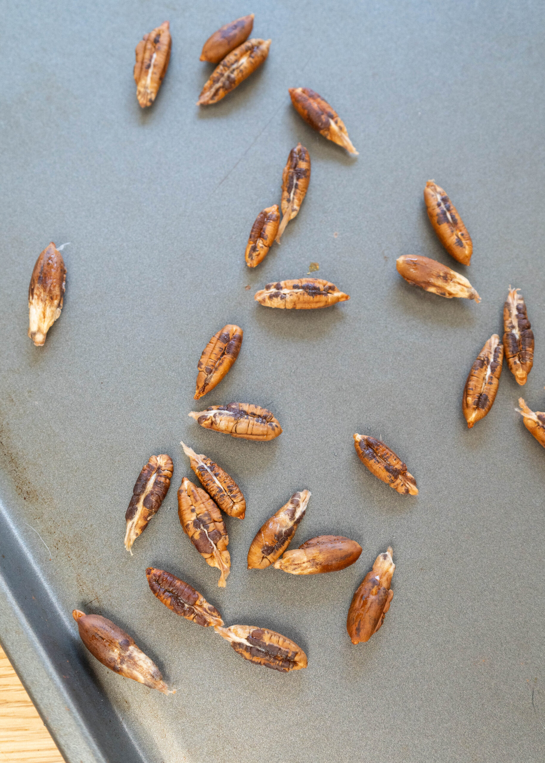 Caffeine-free date seed “coffee” | Closed Loop Cooking