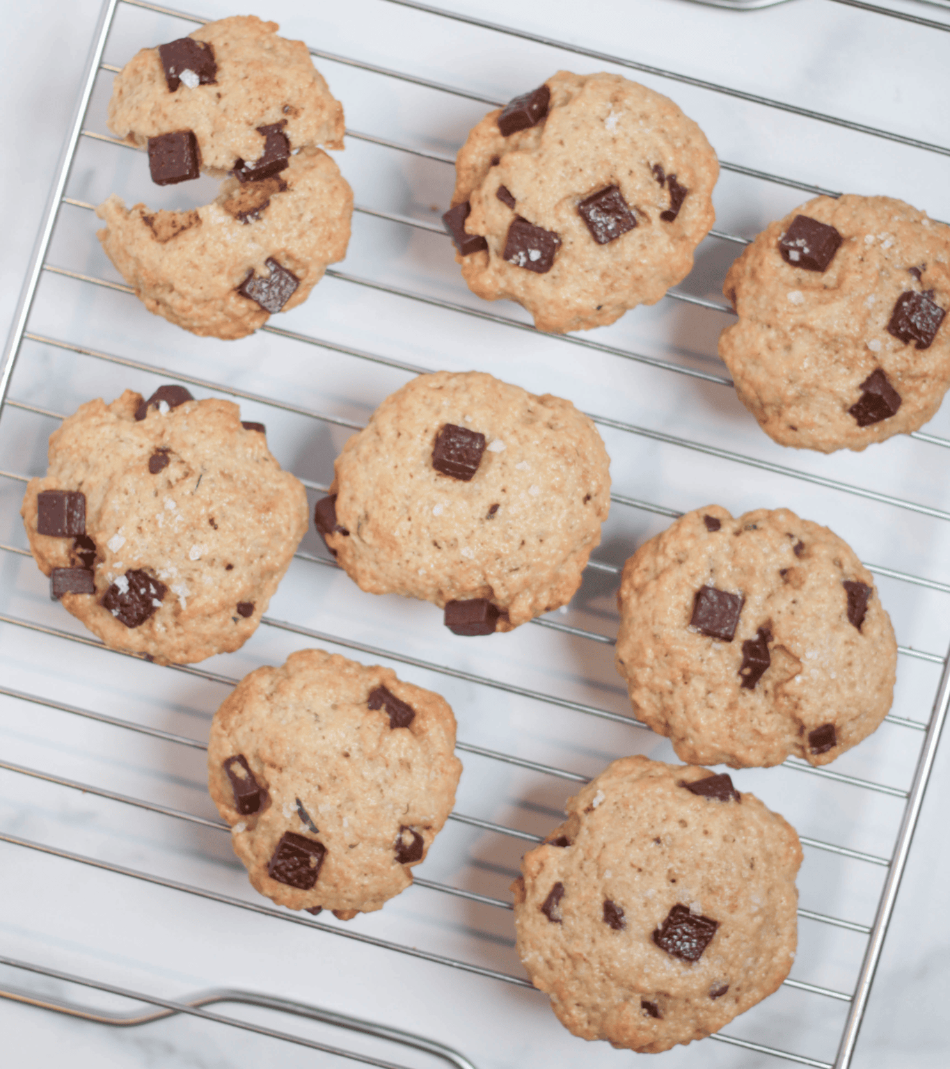 Oat pulp + rosemary chocolate chip vegan cookies